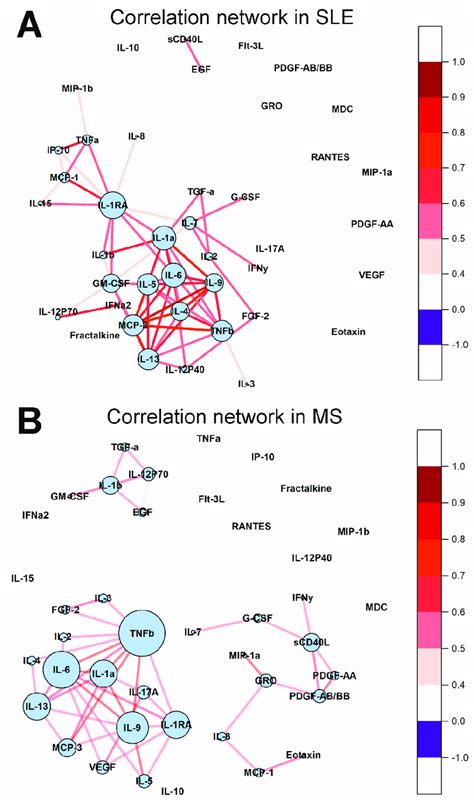 Cytokine Correlation Networks In SLE A And MS B Correlations Download Scientific Diagram
