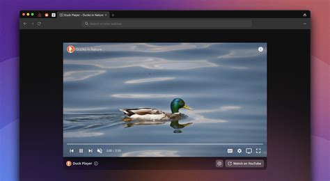 The Wait Is Over Duckduckgo For Mac Beta Open To The Public