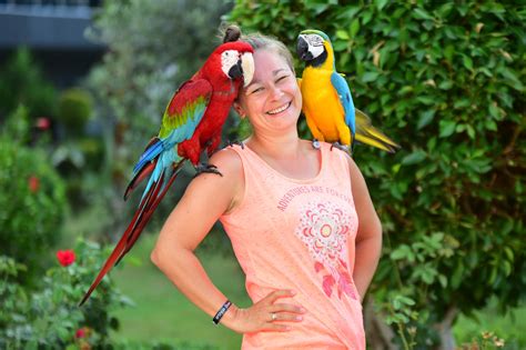 Ok Travel Agency Нужно ли менять загранпаспорт после смены фамилии