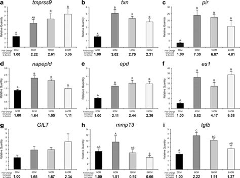 Qpcr Validation Of Microarray Identified Transcripts Relative