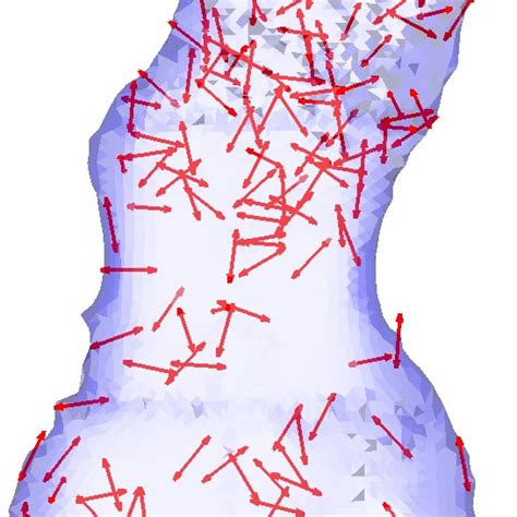 Some Examples Of Data Representable By Discrete Varifolds A Download Scientific Diagram