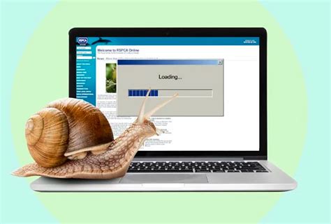 what is slowing down your website website seo
