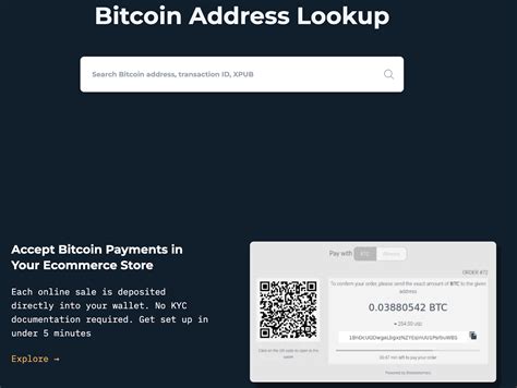 BitPay Or BitBeyond Exploring The World Of BitPay Alternatives