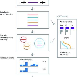 Outline Of Computational Workflow For Selecting Stock Barcodes Linker Download Scientific
