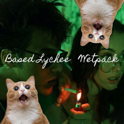 Stream Wetpack By Based Lychee Listen Online For Free On Soundcloud