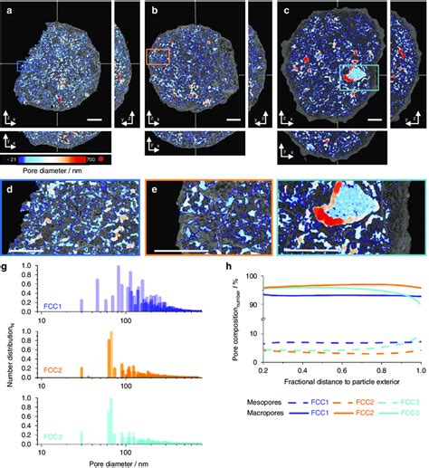 Pore Network And Pore Size Distribution Analysis Calculated Thickness