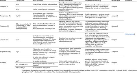 Main Macronutrients And Their Influence On Plants Download