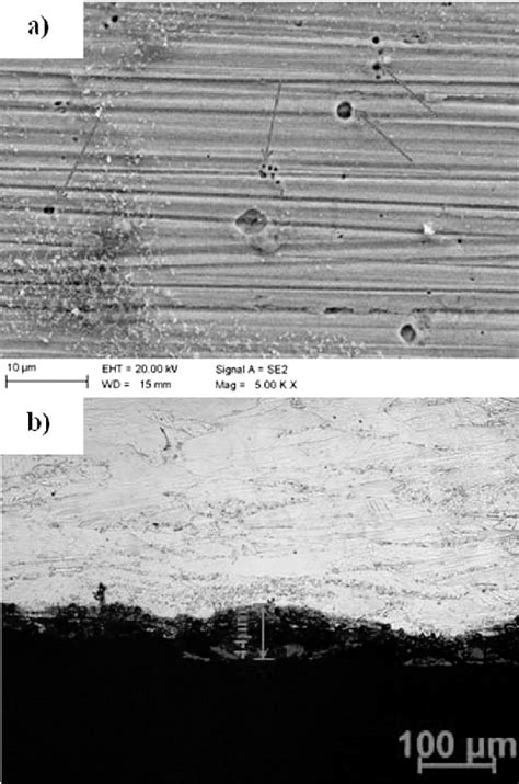 A Sem Micrograph Of The Surface And B Light Micrograph Of The Download Scientific Diagram