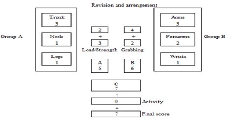 REBA Score In Revision And Arrangement Activity Download Scientific Diagram