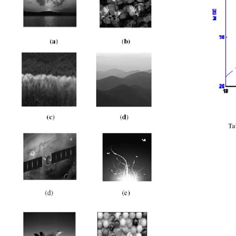The Variation Of Mse With Threshold Download Scientific Diagram