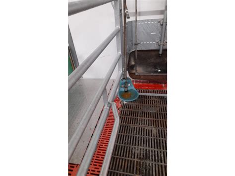 Farrowing Crate For Sows Exafan Exafan