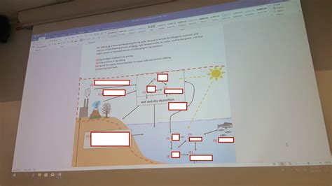 Long Answer Part 2 Diagram Quizlet