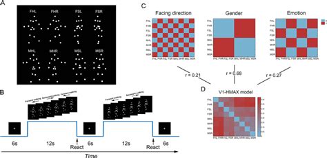 Stimuli Task And Rdms A Illustration Of A Single Frame Of The