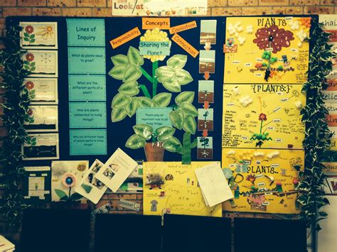 Purposeful Plants Uoi Display Grade 1 Plants Unit Ib Pyp Classroom
