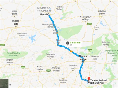 Bhopal To Tadoba National Park Travel Guide Tourist Places And How To