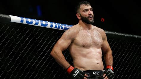 Andrei Arlovski Net Worth In 2026 Fight Purses Wife Endorsements
