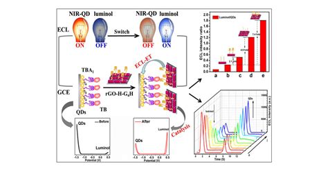 Signal Amplified Near Infrared Ratiometric Electrochemiluminescence
