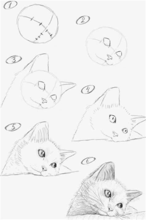 How To Draw Female Face Step By Step Eroppa