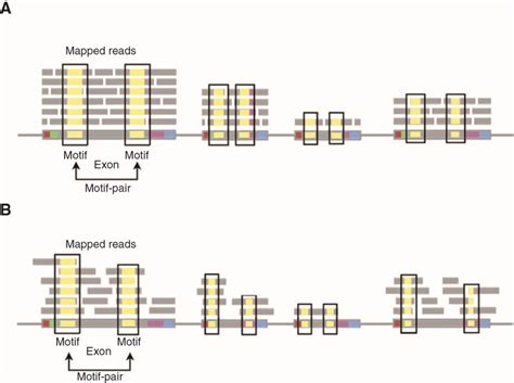 Quantification Of Read Coverage Using Short Pairs Of Sequence Motifs