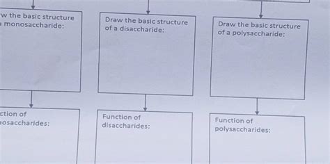 Solved The Basic Structure Draw The Basic Structure Draw The Basic