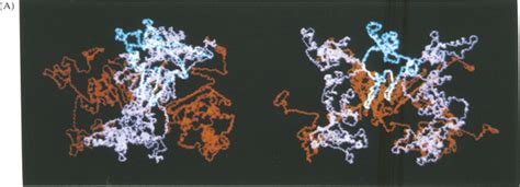 Energy Minimized Casein Symmetric Submicelle Structure I E One Download Scientific Diagram