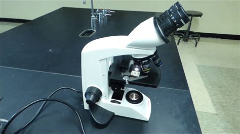 Compound Under Microscope At Donna Hammonds Blog