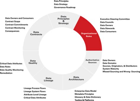 Defining Organizational Roles In A Data Governance Road Map Data Architecture Operating Model