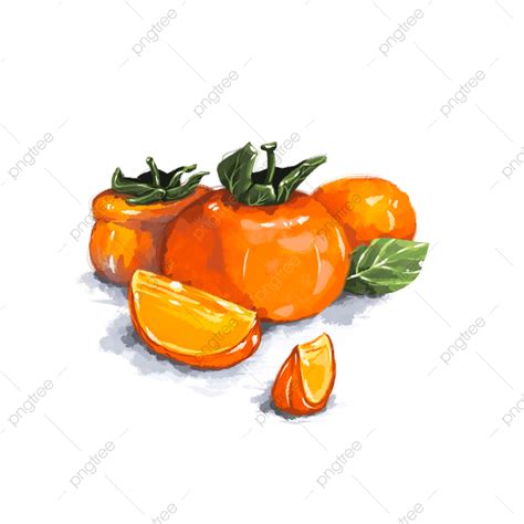감 가을 일러스트 과일 곶감 늦가을 오렌지색 음식 수채화 수 묵 감 과일 서리 Png 일러스트 및 Psd 이미지 무료 다운로드 Pngtree