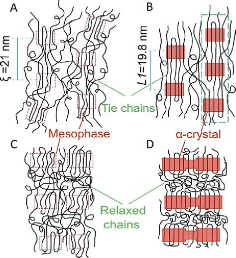 Schematic Representation Of The Mesophase Within Pla Nanofibres