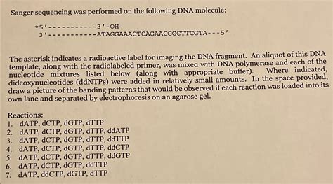 Solved Sanger Sequencing Was Performed On The Following Dna