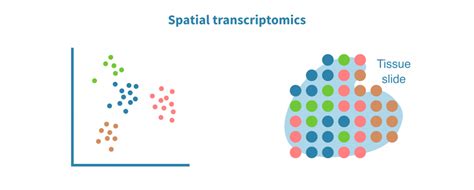 Single Cell RNA Seq Data Analysis Genevia Technologies