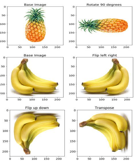 Data Augmentation Rotation And Orientation Source Images Extracted