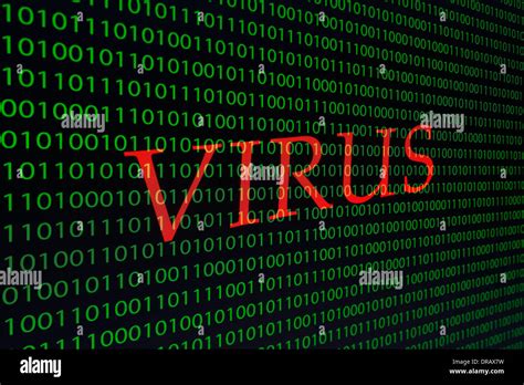Internet Virus