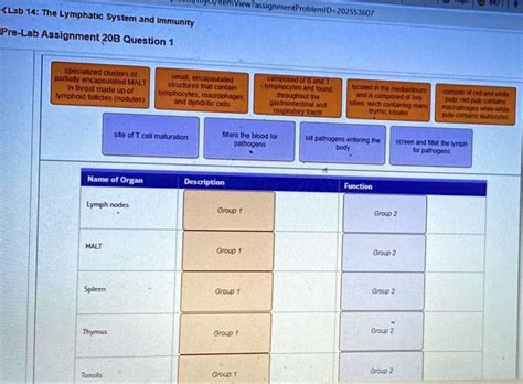 Please Complete The Table By Briefly Describing Each Lymphatic Organ
