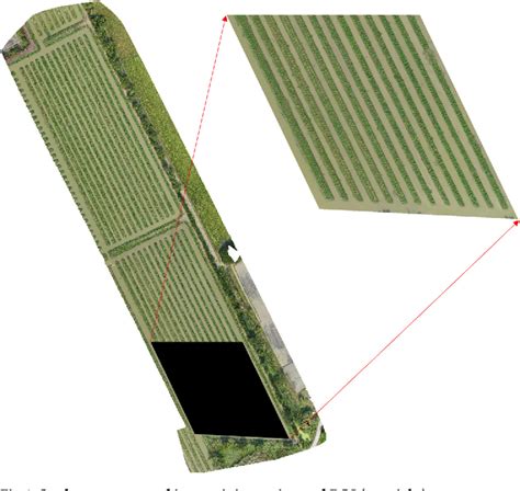 Figure 4 From Deep Learning Based Banana Plant Detection And Counting Using High Resolution Red
