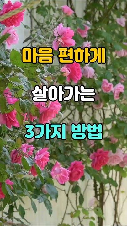 마음 편하게 살아가는 3가지 방법 명언 좋은글 지혜 Youtube