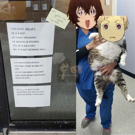 Weekly Dose Of Bsd Memes Fandom