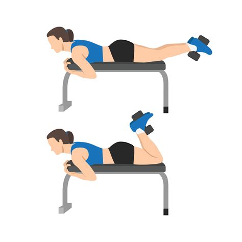 Woman Doing Dumbbell Hamstring Curl On Bench Exercise 26286860 Vector Art At Vecteezy