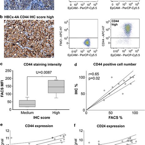 Viability And Ex Vivo Culture Of Dissociated Tumor Cells From Mouse
