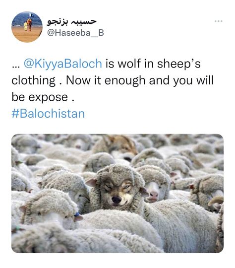 Kiyya Baloch On Twitter کل رات سے ایک مخصوص گروہ میرے خلاف ایک منظم