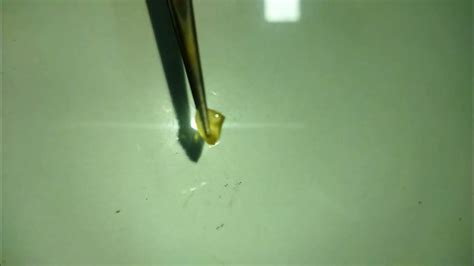 නිල් පැන්සී මෑණික් ගල හා පුස්පරාග මෑණික් ගල Youtube