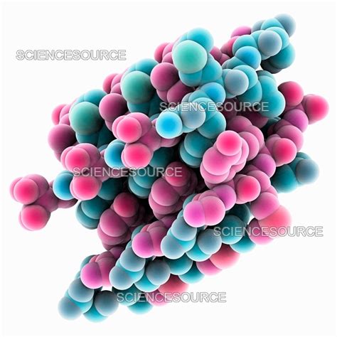 Human Prion Protein Peptide Molecule Stock Image Science Source Images