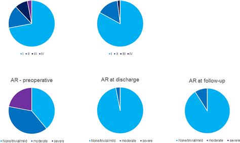 Nyha Functional Class And Aortic Regurgitation Preoperative