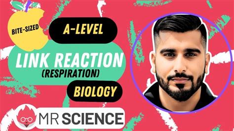 Salim M On Linkedin Link Reaction Respiration Bite Sized A Level Biology Mr Science 8k