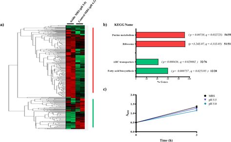 Transcriptome Data Analysis The Bacteria Were Cultivated For Standard Download Scientific