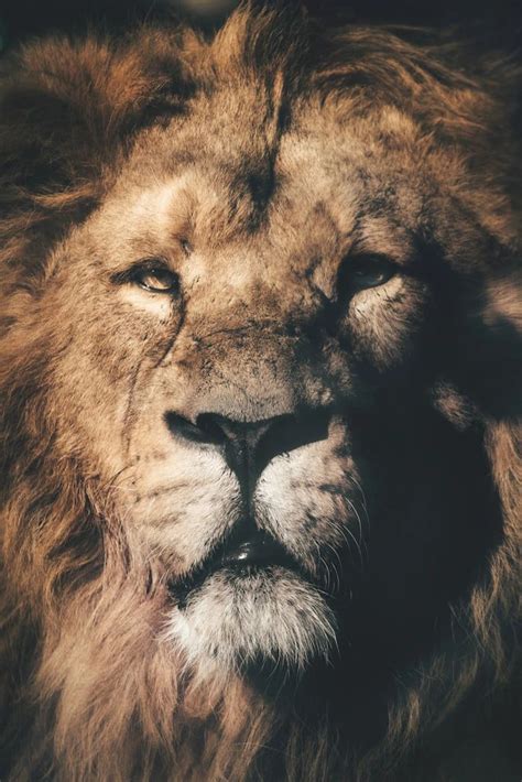 Ifeoluwa Popoola On Linkedin I Need To Eat A Friend Inspired Me To Write This Piece My Friend