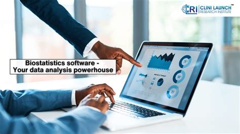Top Biostatistics Software Tools You Should Know In 2024