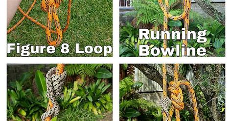 Knots Figure 8 Loop Running Bowline And Valdotain Tresse Album On Imgur
