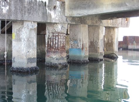 Reinforced Concrete Polilapp