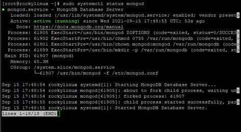Cómo Instalar Y Utilizar Mongodb En Rocky Linux 8 Howtoforge
